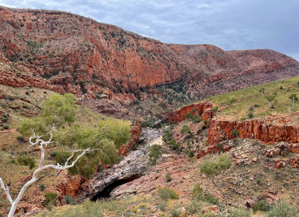 Best Time to Hike the Larapinta Trail | Optimal Trekking Months